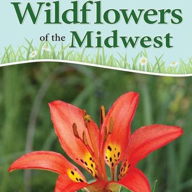 Wildflowers of Midwest Quick Guide by Stan Tekiela — Native Plants ...