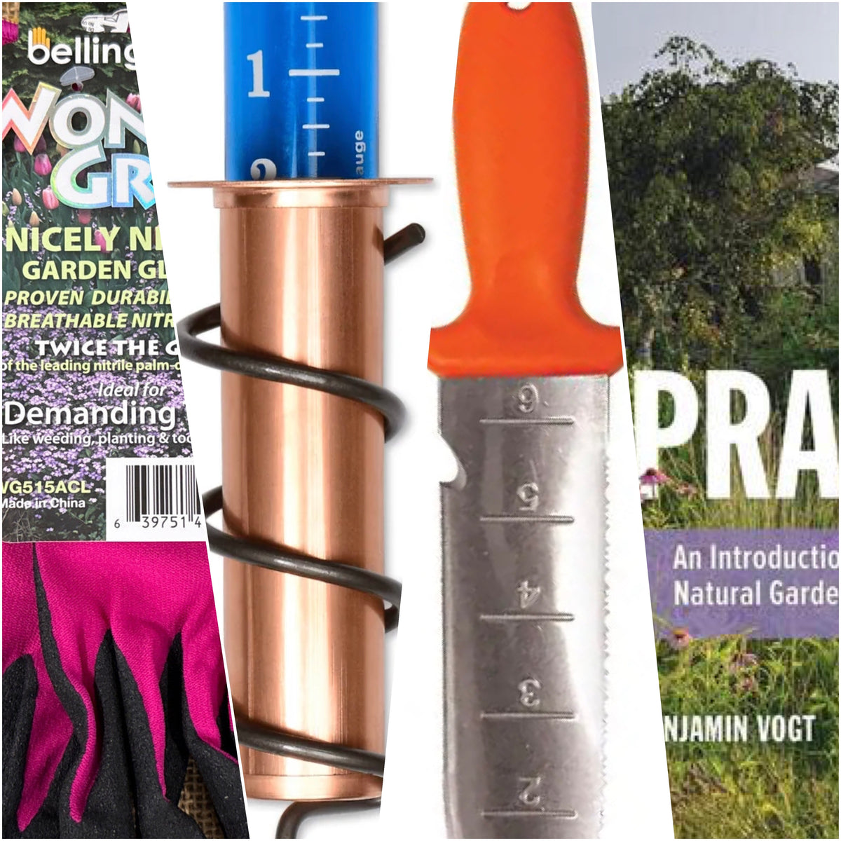 Prairie Up Bundle — Native Plants Unlimited LLC