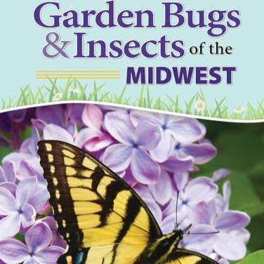 Garden Bugs & Insects of Midwest Quick Guide by Jaret C. Daniels ...